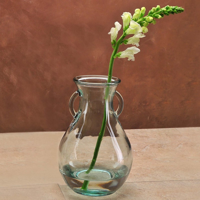 Glass Vase - Etsy