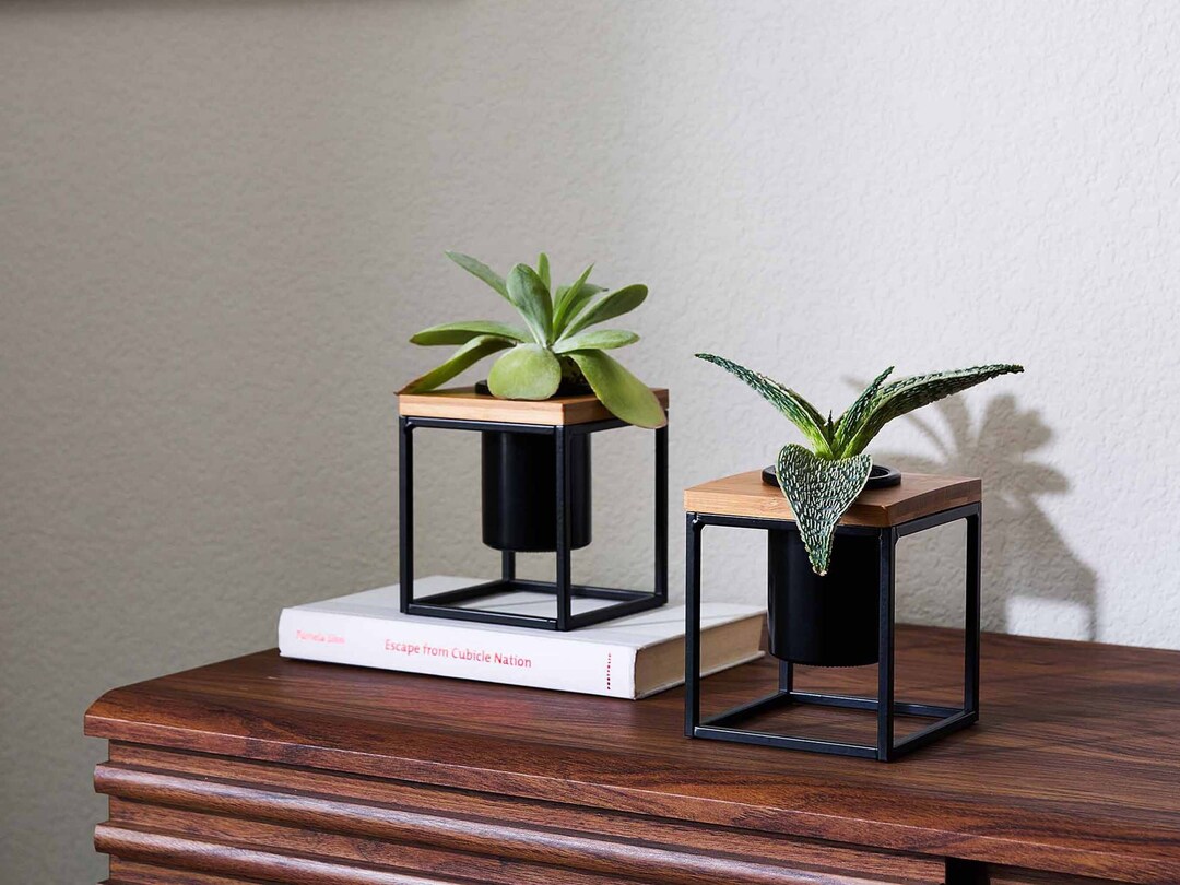 Classic Pablo Cube With Black Metal Stand | Plant Decor for Table ...