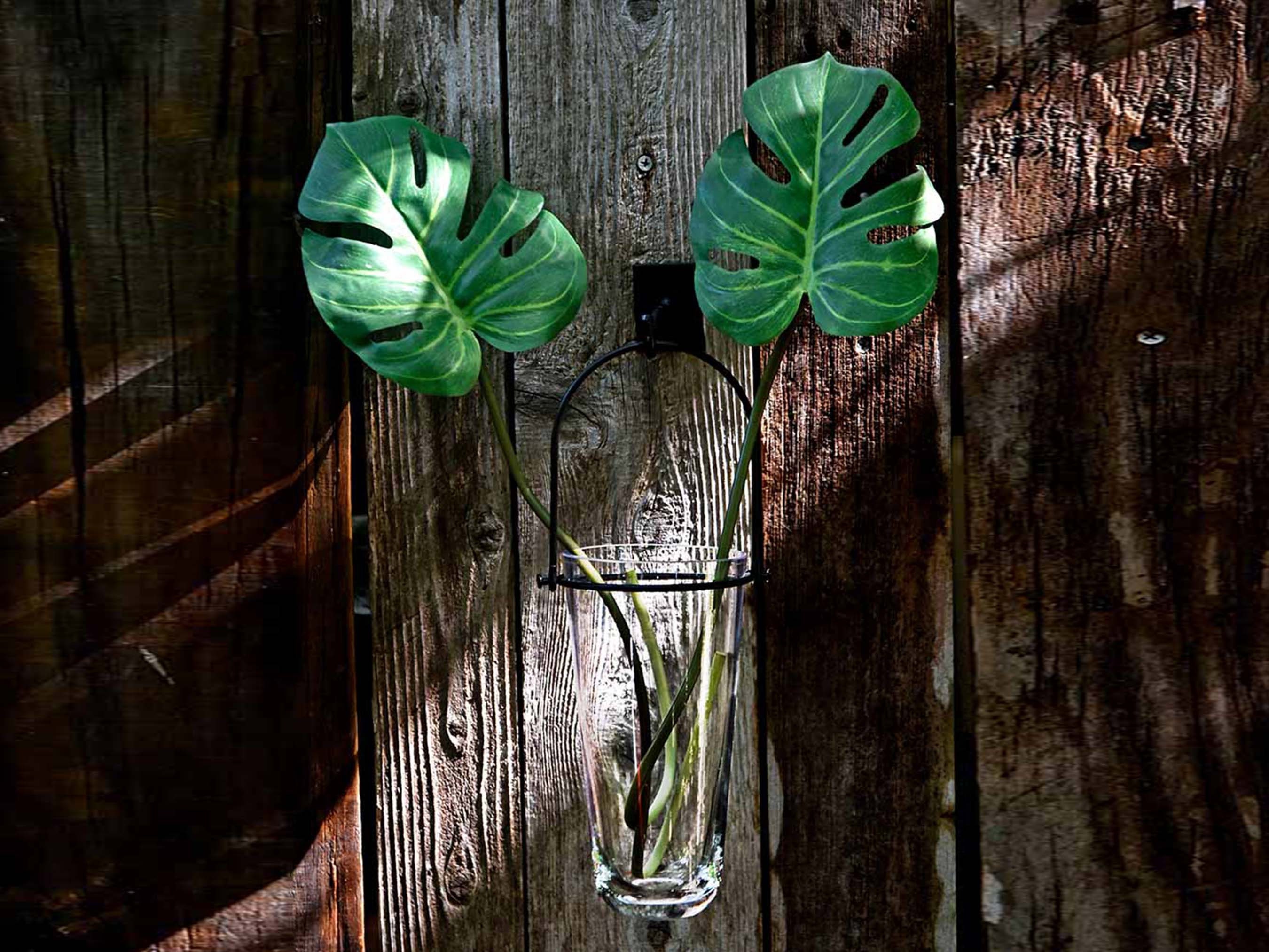 Almere Hanging Vase With Wall Hook | Glass Flower Vase for Home Decor ...