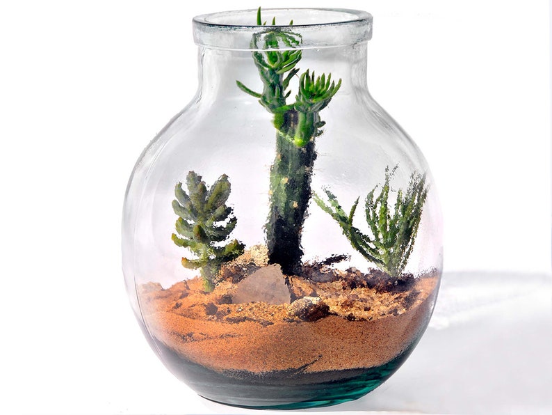 5 Liter Sphere Jar - Etsy