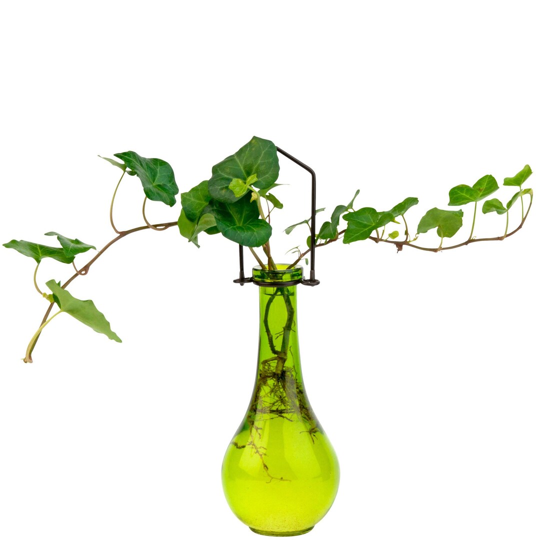 Eco-friendly Hanging Drop Recycled Glass Rooting Vase With Metal Frame ...