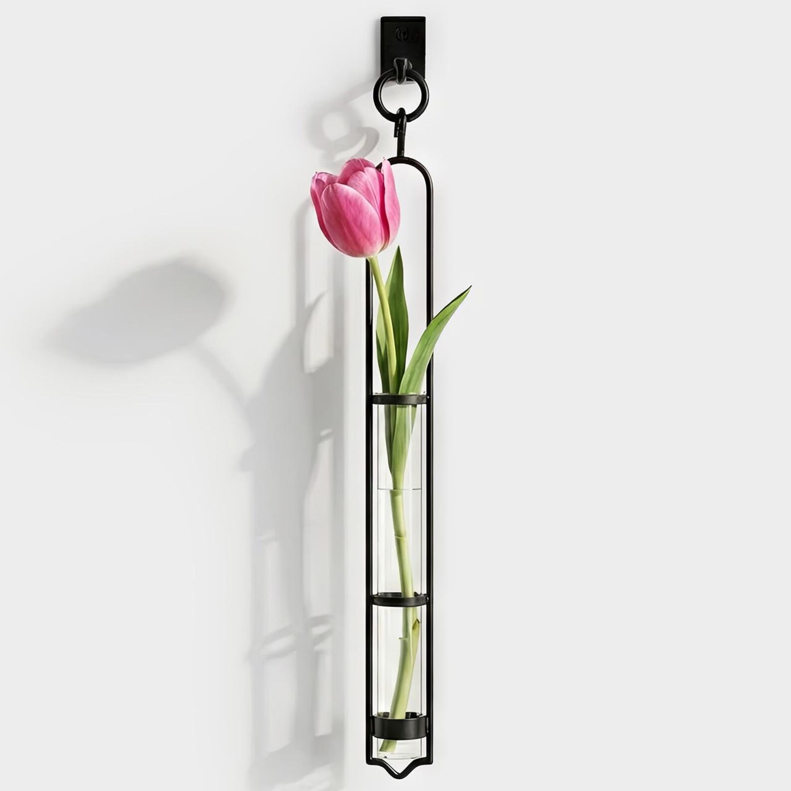 Florence Hanging Pendant Tube Vase With Wall Hook | Elegant Glass Wall ...