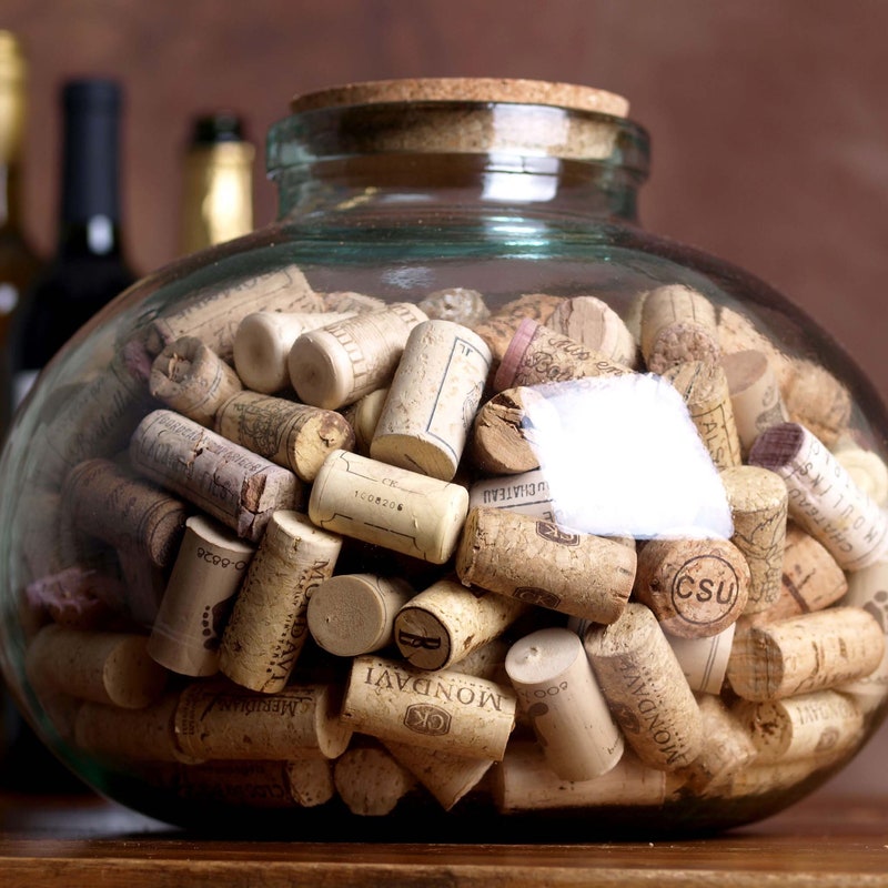 Terrarium Vase, Jar - Etsy