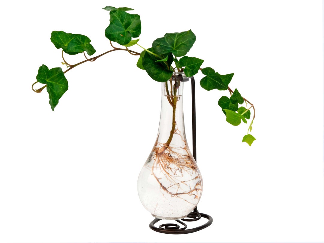 Drop Recycled Glass Vase & Metal Stand | Elegant Table Decor ...
