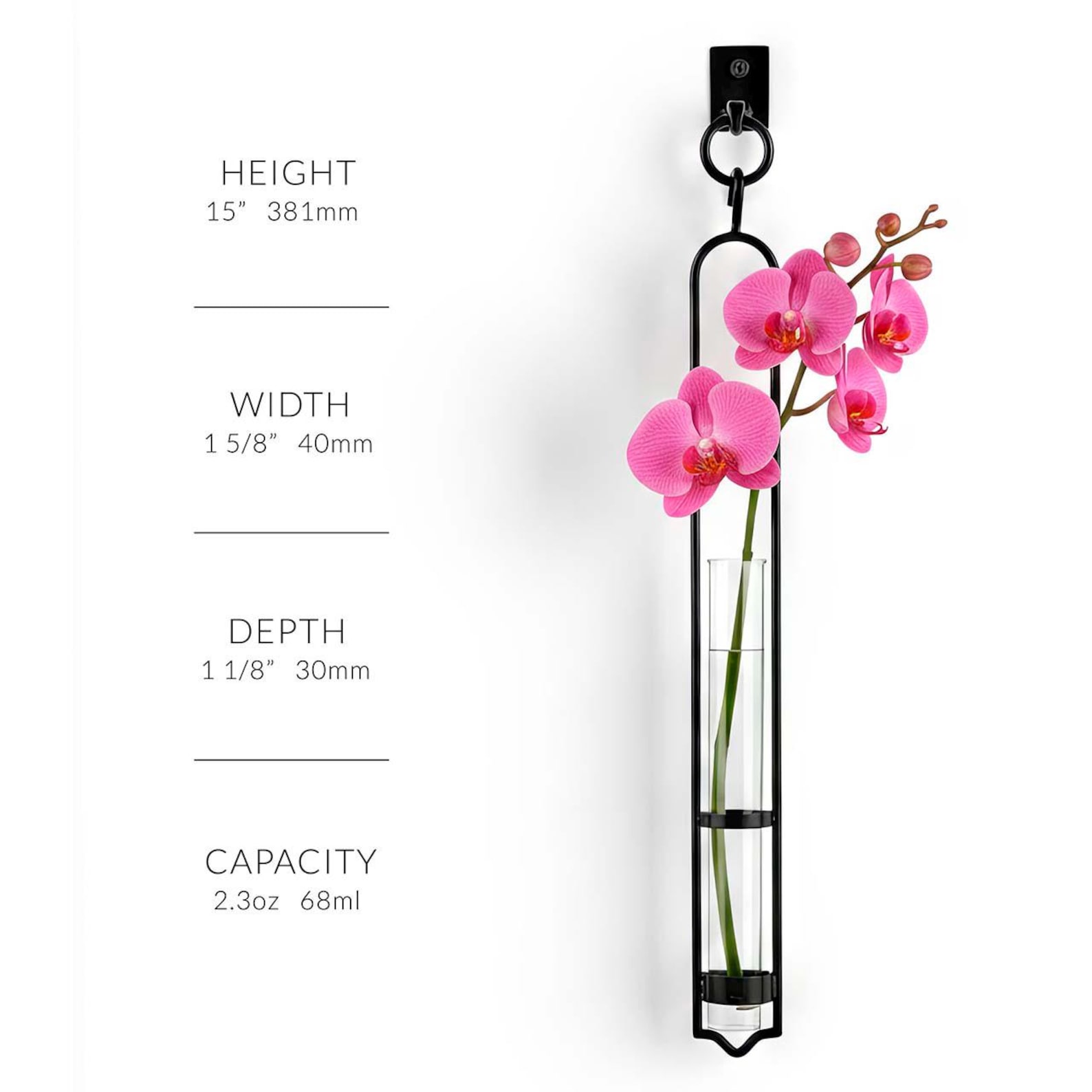 Florence Hanging Pendant Tube Vase With Wall Hook | Elegant Glass Wall ...
