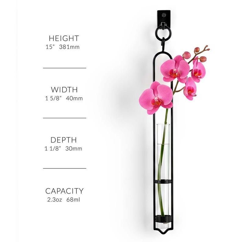 Florence Hanging Pendant Tube Vase With Wall Hook | Elegant Glass Wall ...