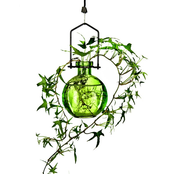 Hanging Glass Vase - Etsy