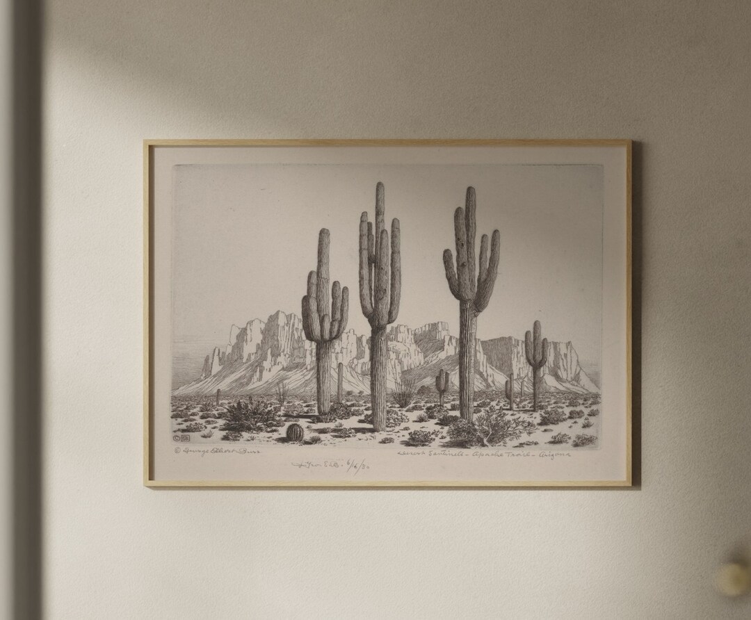 George Elbert Burr Desert Sentinels Apache Trail Arizona - Etsy