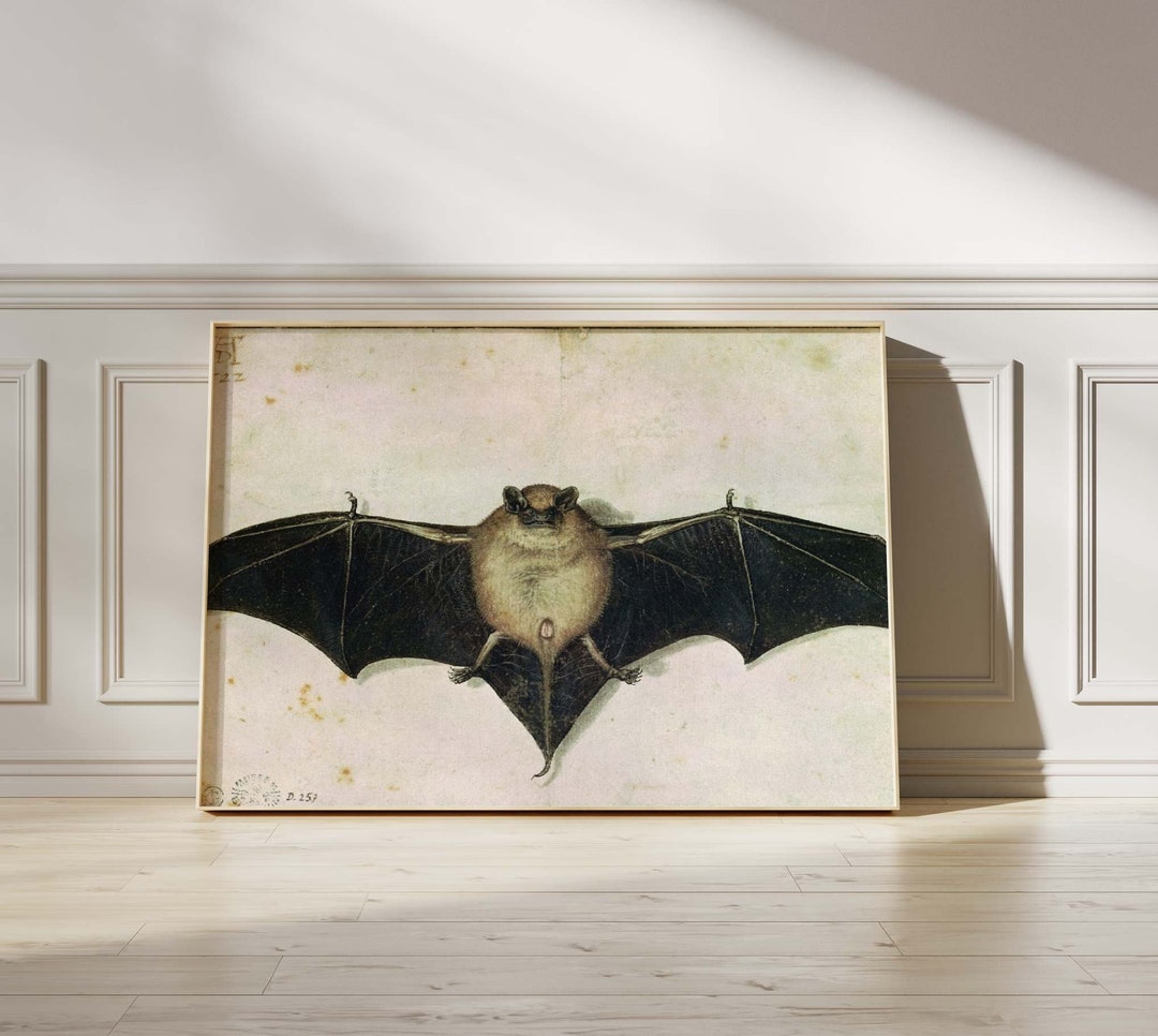 Albrecht Durer Bat Historical Painting, Vintage Print, Fine Wall Art ...