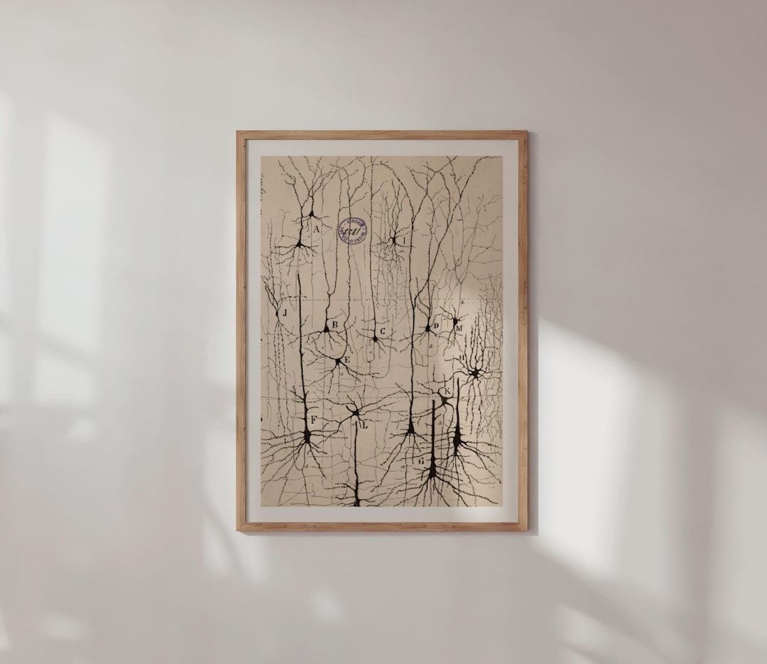 Santiago Ramon Y Cajal Neuron Antique Anatomy Print, Vintage ...