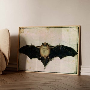 Albrecht Durer Bat Historical Painting, Vintage Print, Fine Wall Art ...