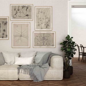 Santiago Ramon Y Cajal Neuron Antique Anatomy Print, Vintage ...