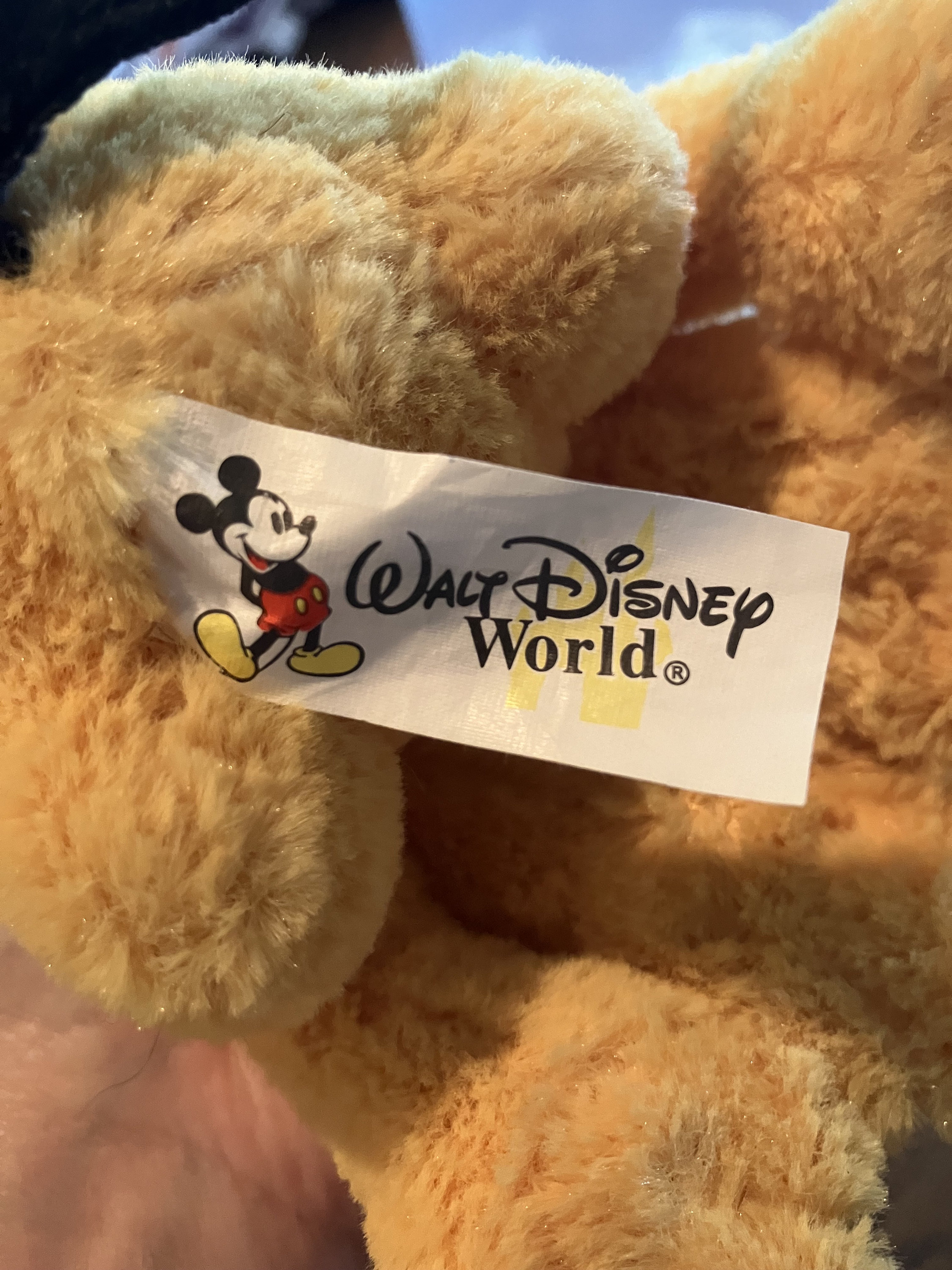 Safari Pluto Bean Bag From Walt Disney World - Etsy