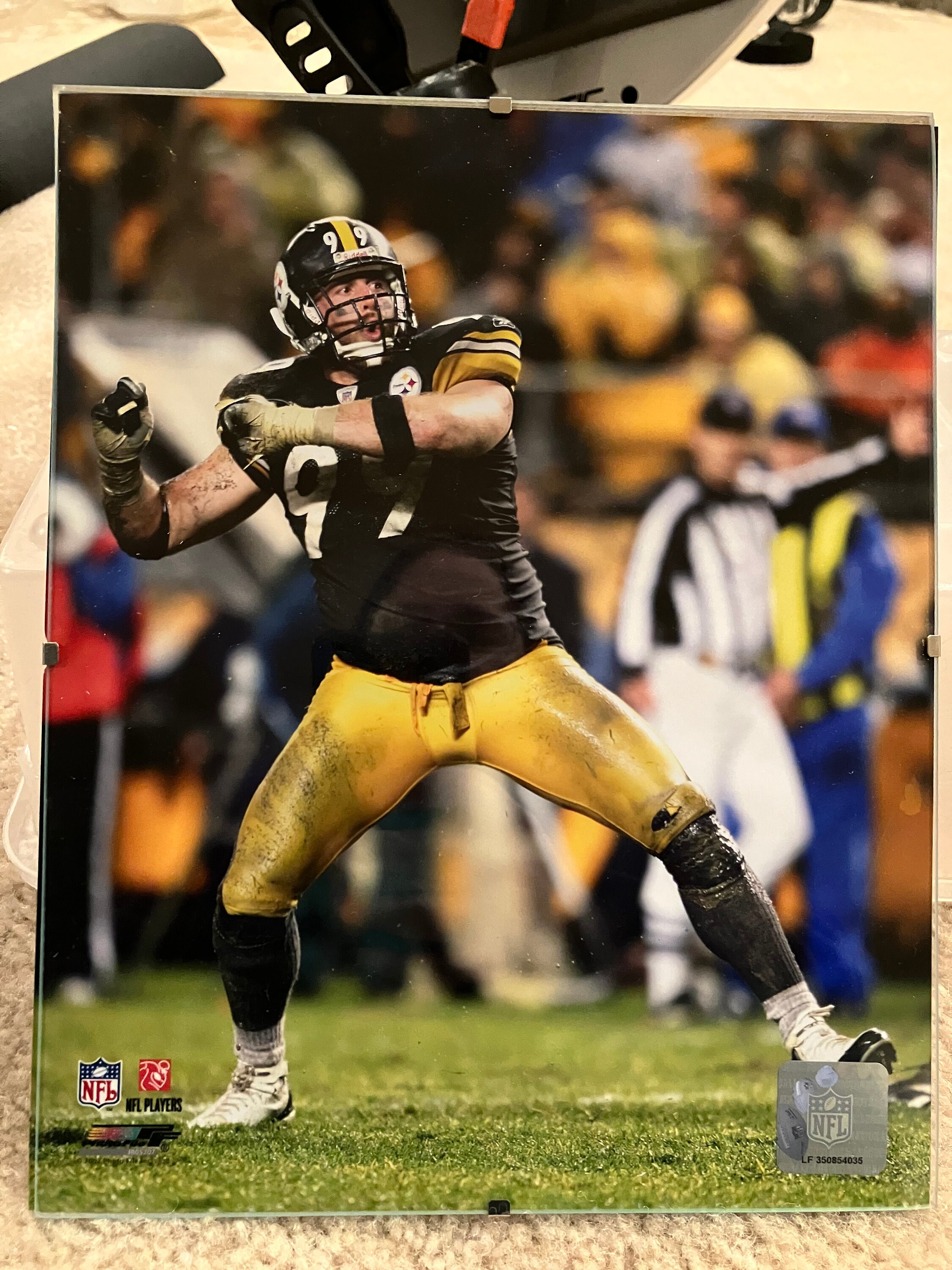 Pittsburgh Steelers Brett Keisel Framed Photo - Etsy