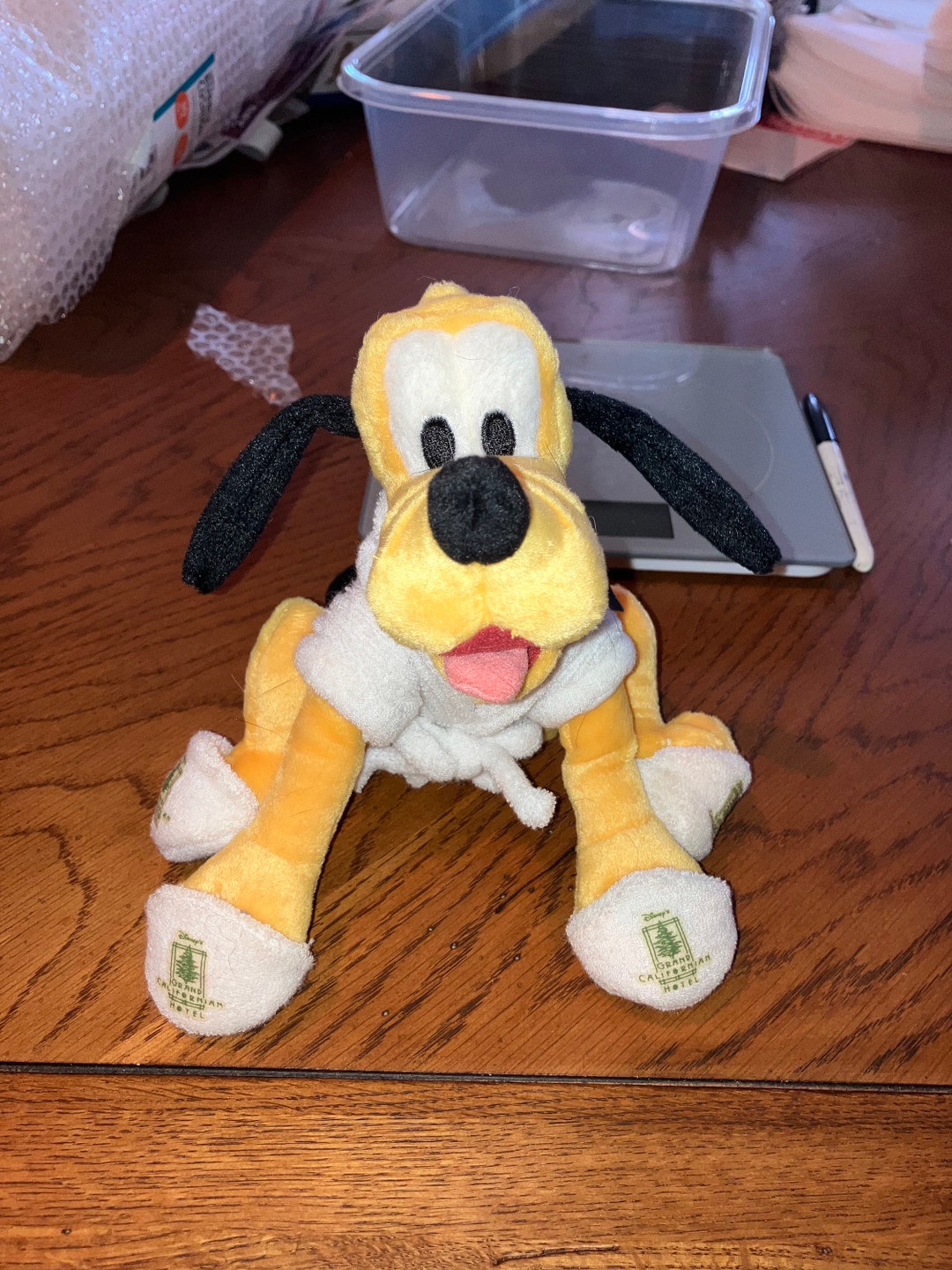 Pluto Grand Californian Hotel Bean Bag Theme Park Edition From ...