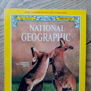 National Geographic Magazine February 1979 Vol 155 No 2 Kangaroos That ...
