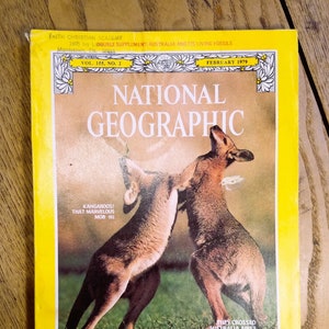 National Geographic Magazine Kangaroos That Marvelous Mob - Etsy
