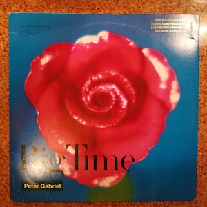 peter gabriel flower