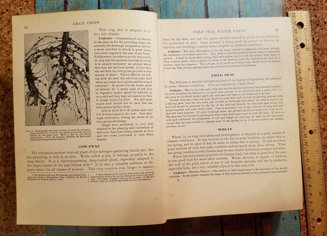 Farm Making the Farm Pay Hardback Book 1911 - Etsy