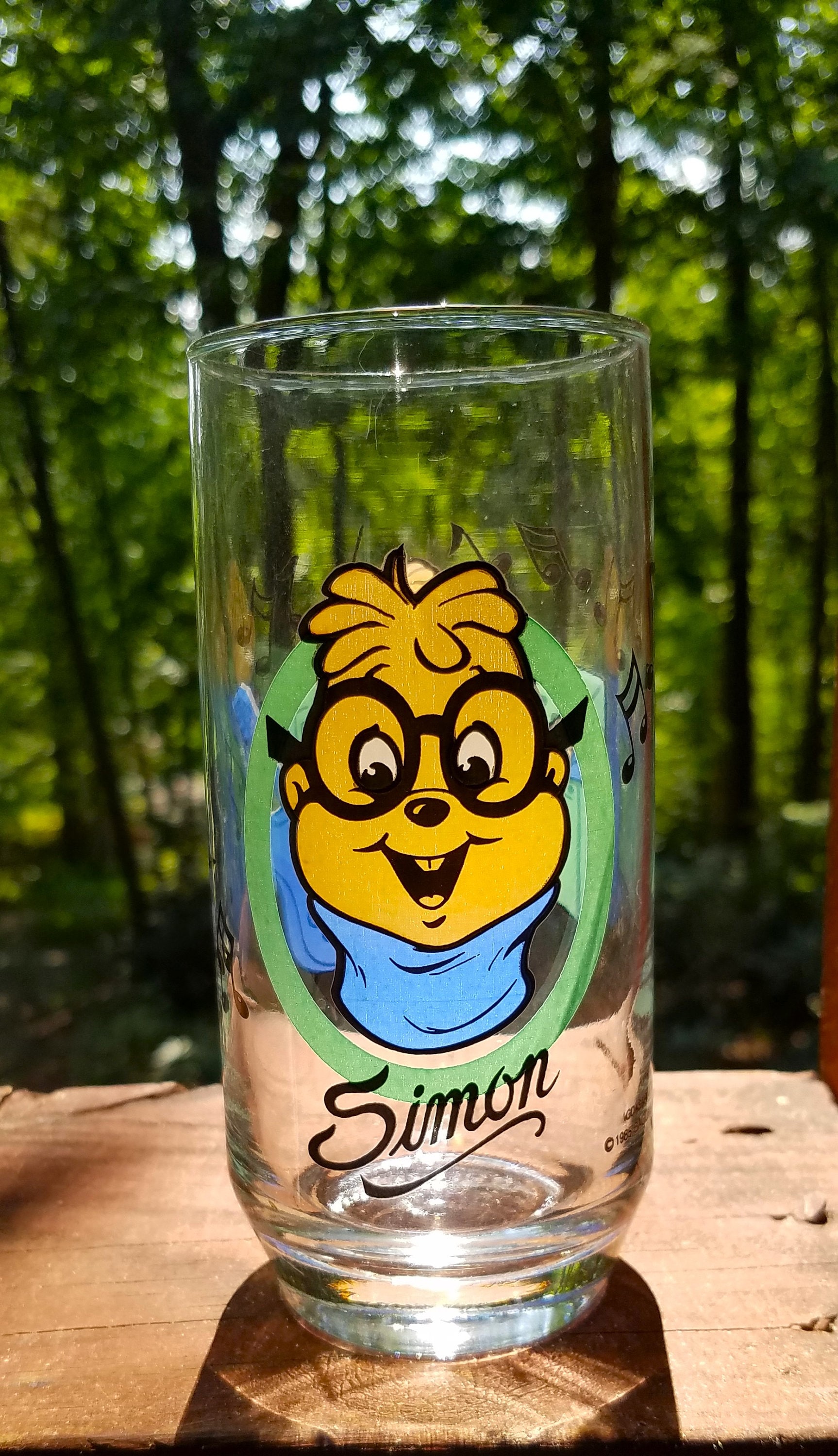 Simon Glasses Chipmunk
