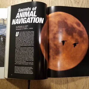 National Geographic Magazine June 1991 Vol. 179, No. 6 - Etsy