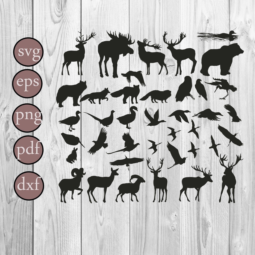 Animal Svg Bundle Animal Svg Animal Silhouette Animal Cut File Animal ...