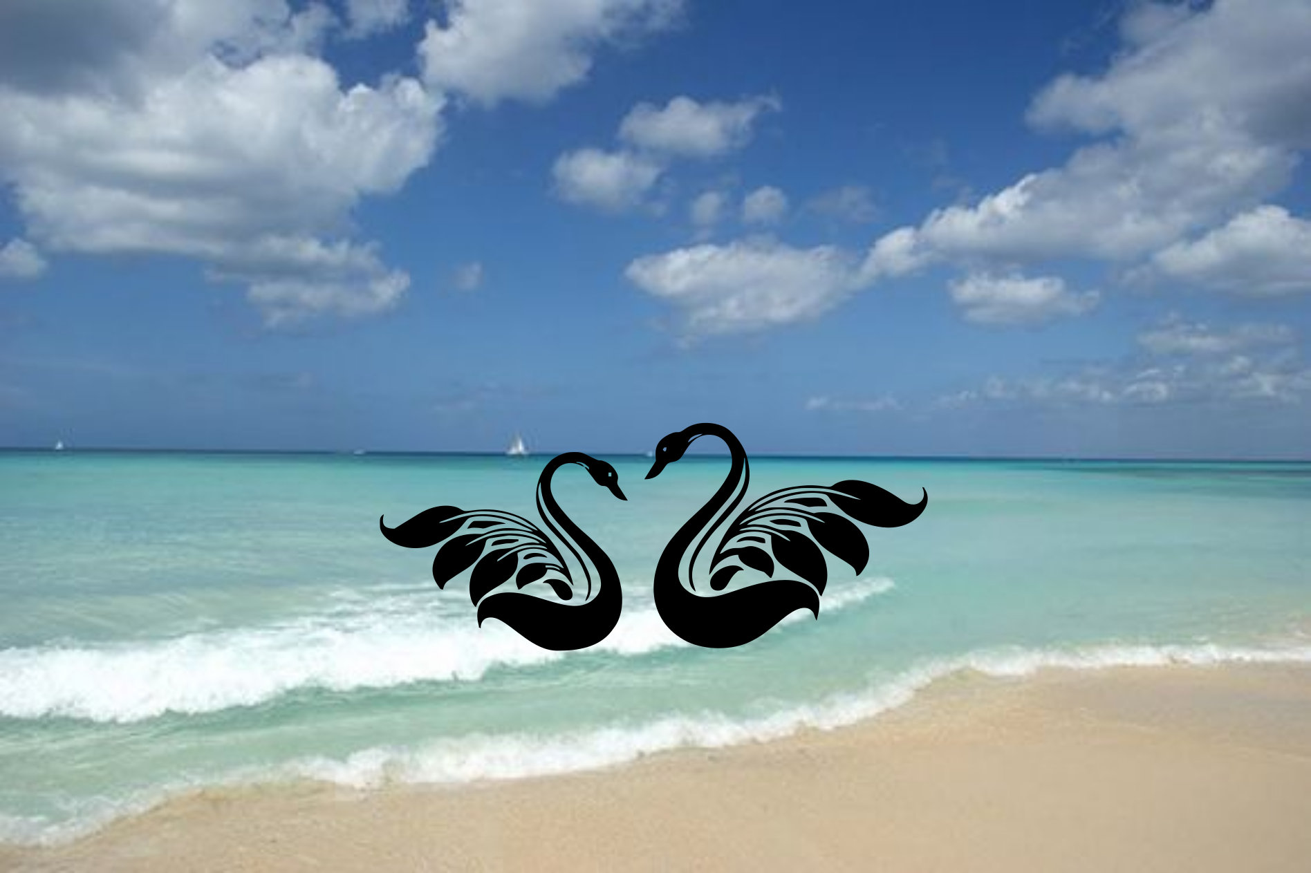 Swan Couple Romantic Design for Cards, Anniversaries, Personal Projects ...