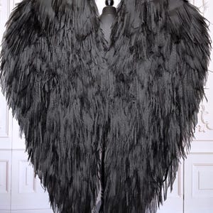 Ostrich Feather Textile Fluffy Wings. Black. Variations of Colour ...