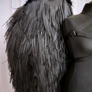 Ostrich Feather Textile Fluffy Wings. Black. Variations of Colour ...