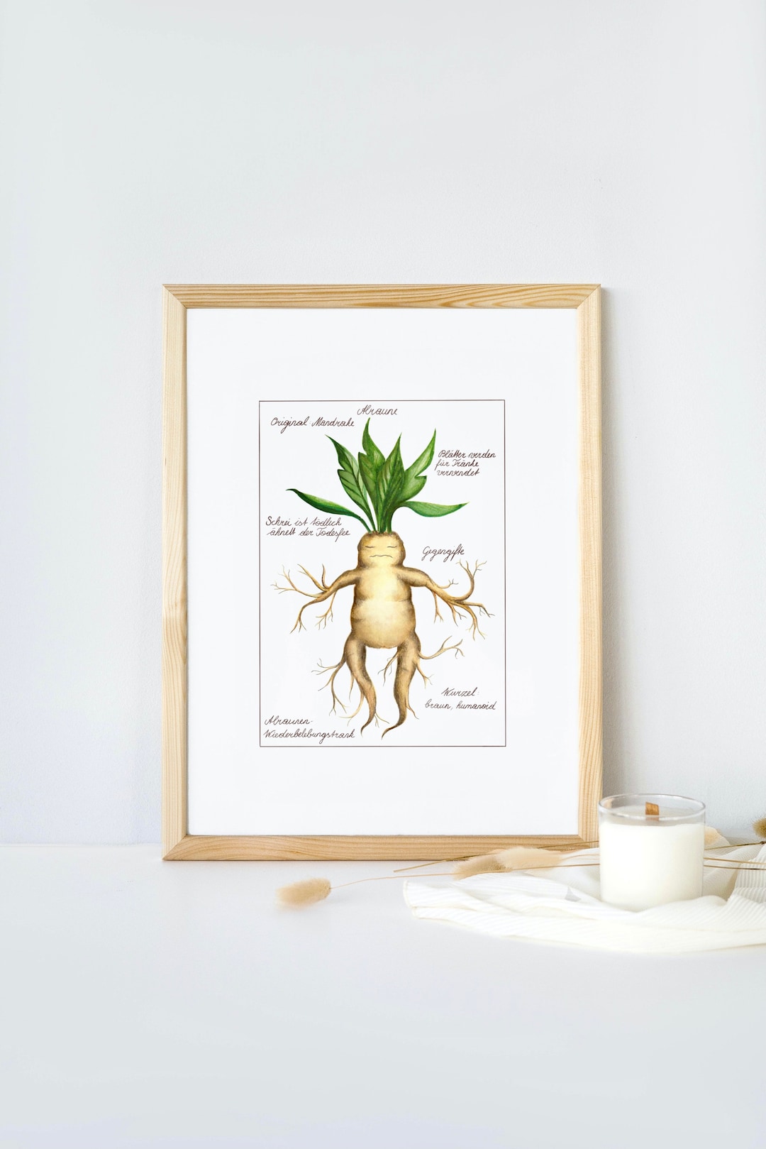 Mandrake Illustration, Mandrake Print, Fanart, Potterhead, Magic Print ...