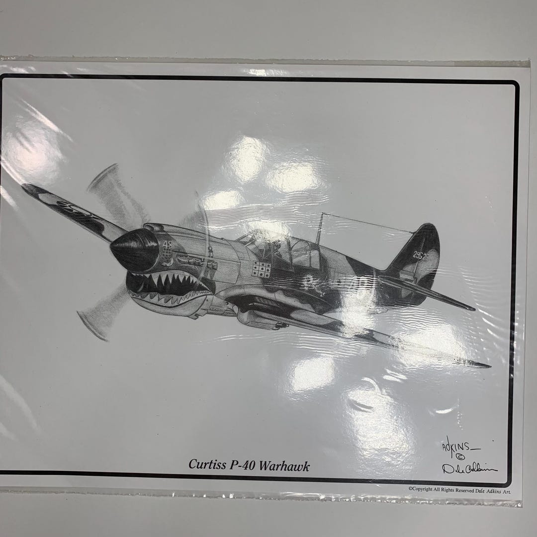 Curtiss P-40 Warhawk, Dale Adkins Art, Pencil Sketch, 11x14 Print in ...