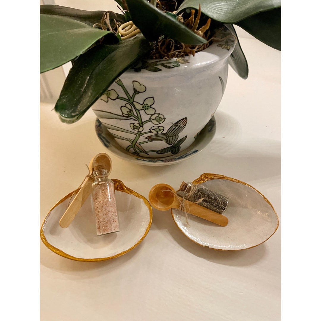 Clam Shell Salt and Pepper Cellar Set: Himalayan Salt, Wooden Spoons - Etsy