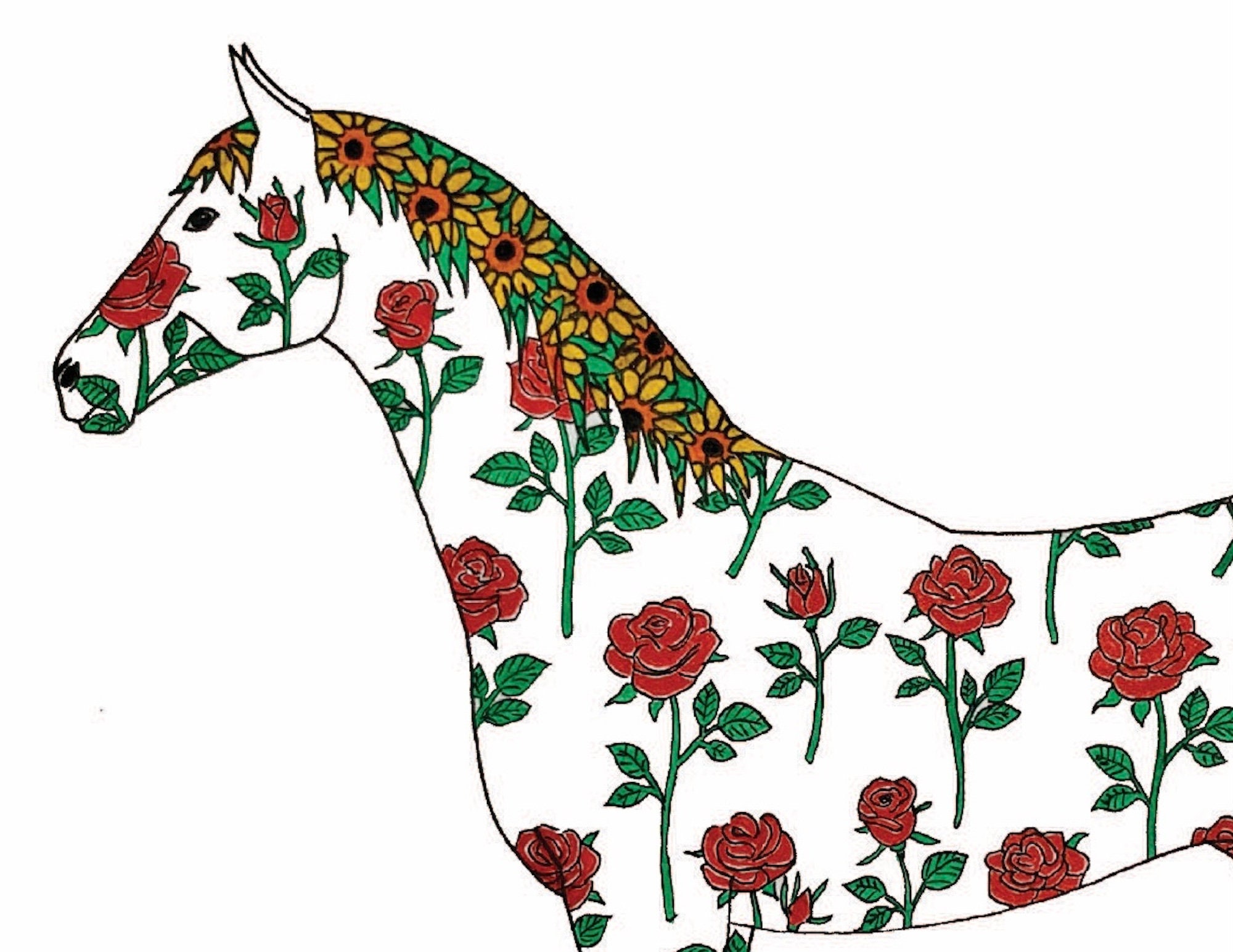 Thoroughbred Horse Print From Original Pen & Ink Illustration, Winning ...