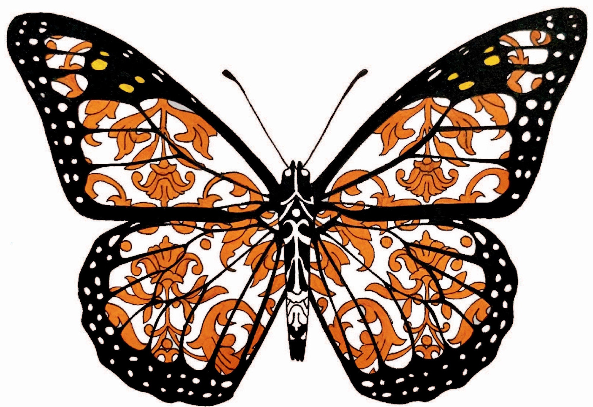 Monarch Butterfly Print From Original Pen and Ink Illustration ...