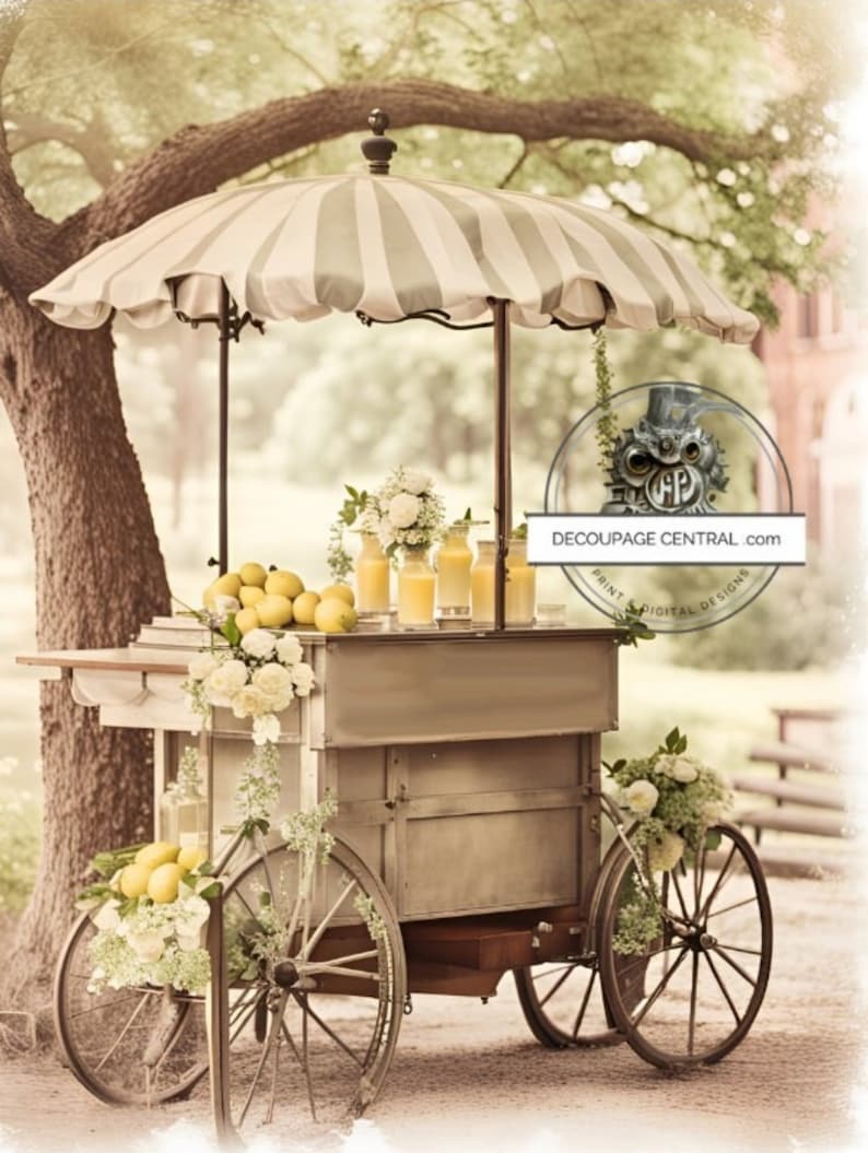A4 DF 186 Lemonade Stand Decopauge Rice Paper - Etsy
