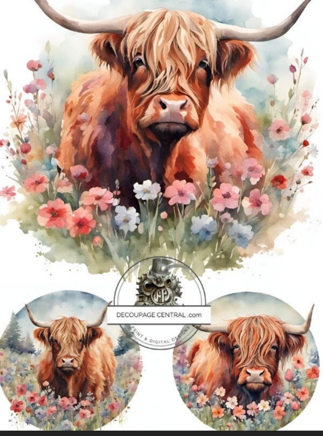 A4 DF 197 Highland Cow Circles Decopauge Rice Paper - Etsy