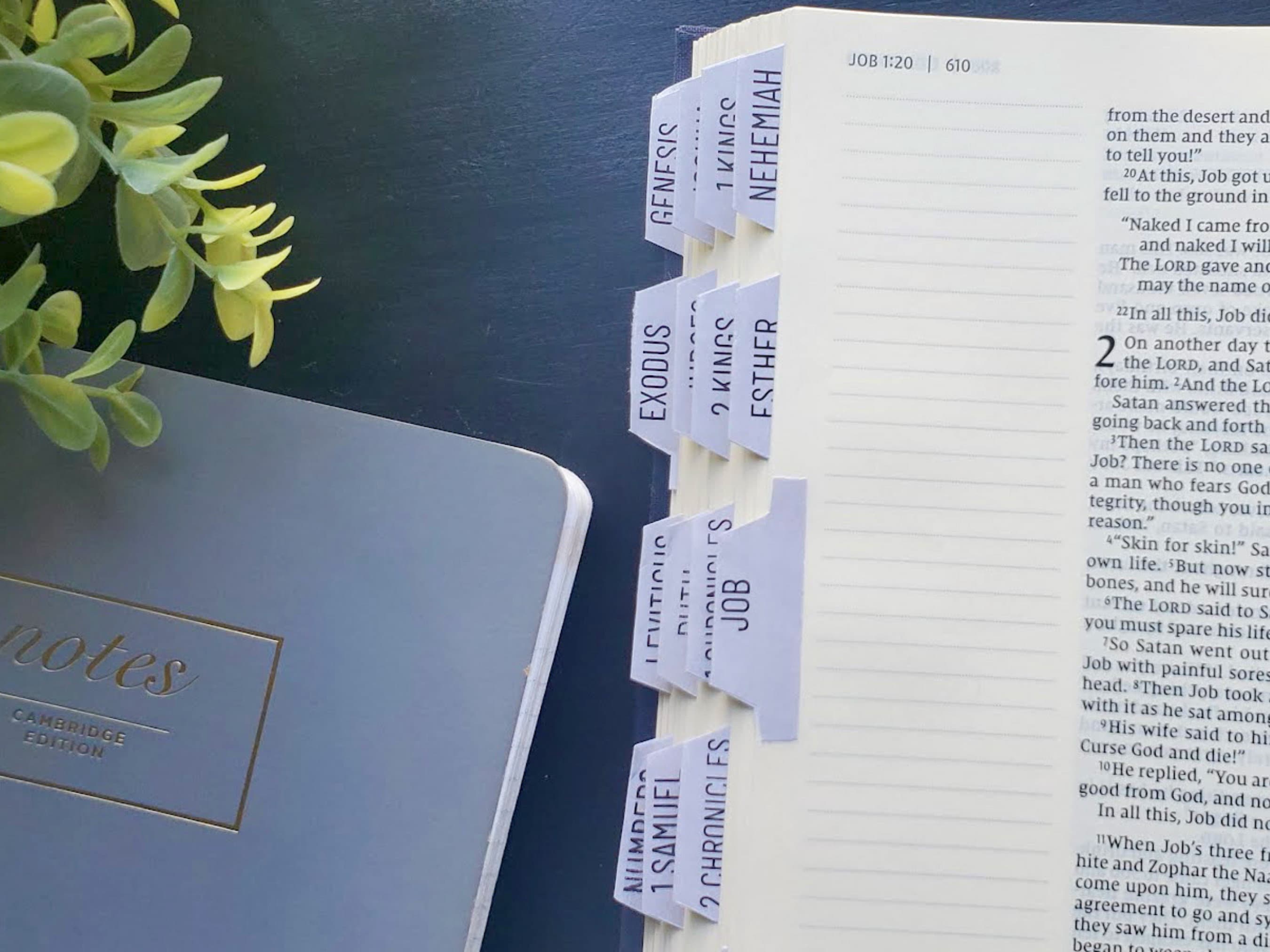 Neutral Printable Bible Tabs, Bible Tabs, Bible Study Tools, Bible ...