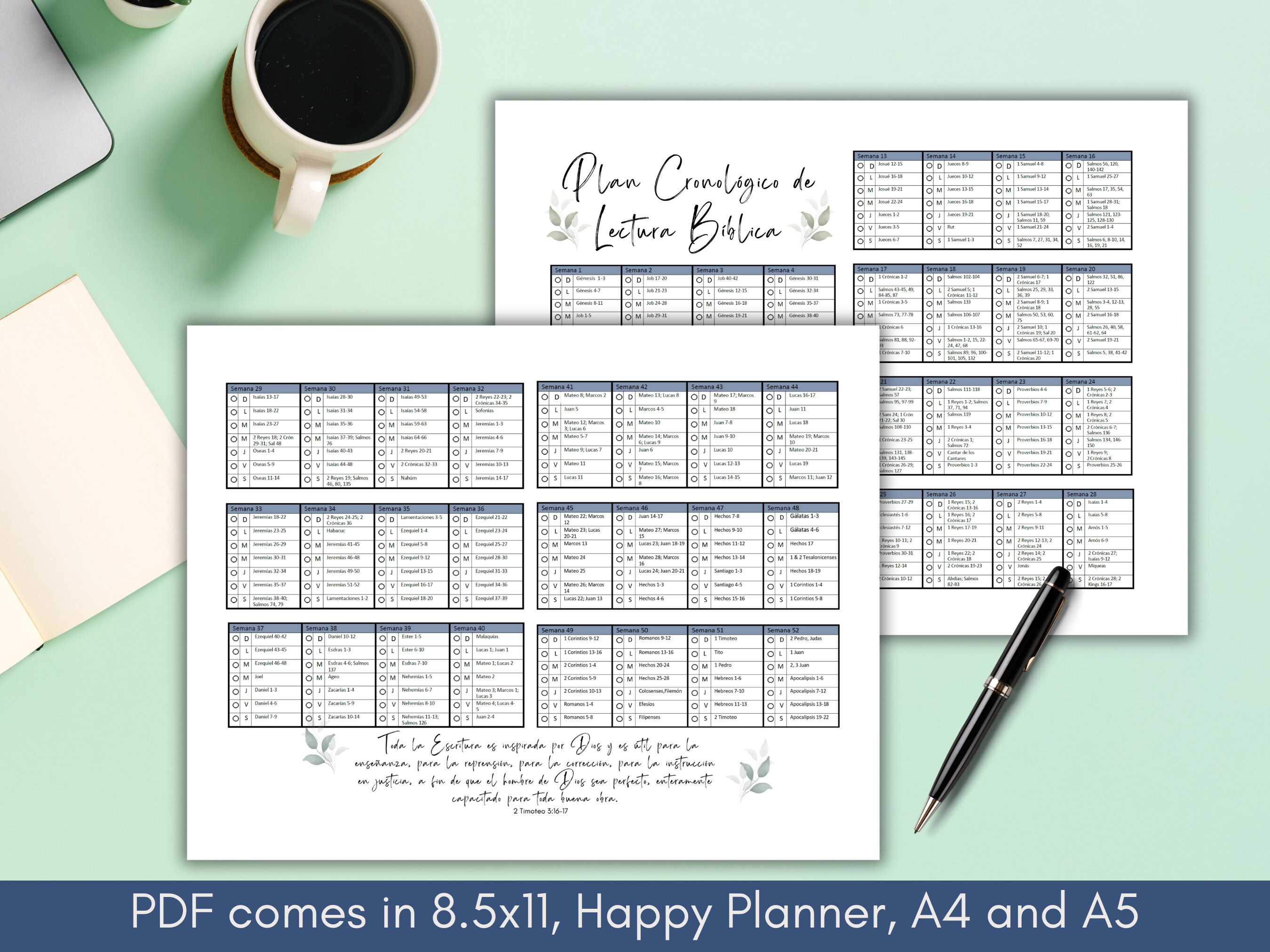 SPANISH Bible Reading Tracker Chronological Daily Study Plan Printable ...