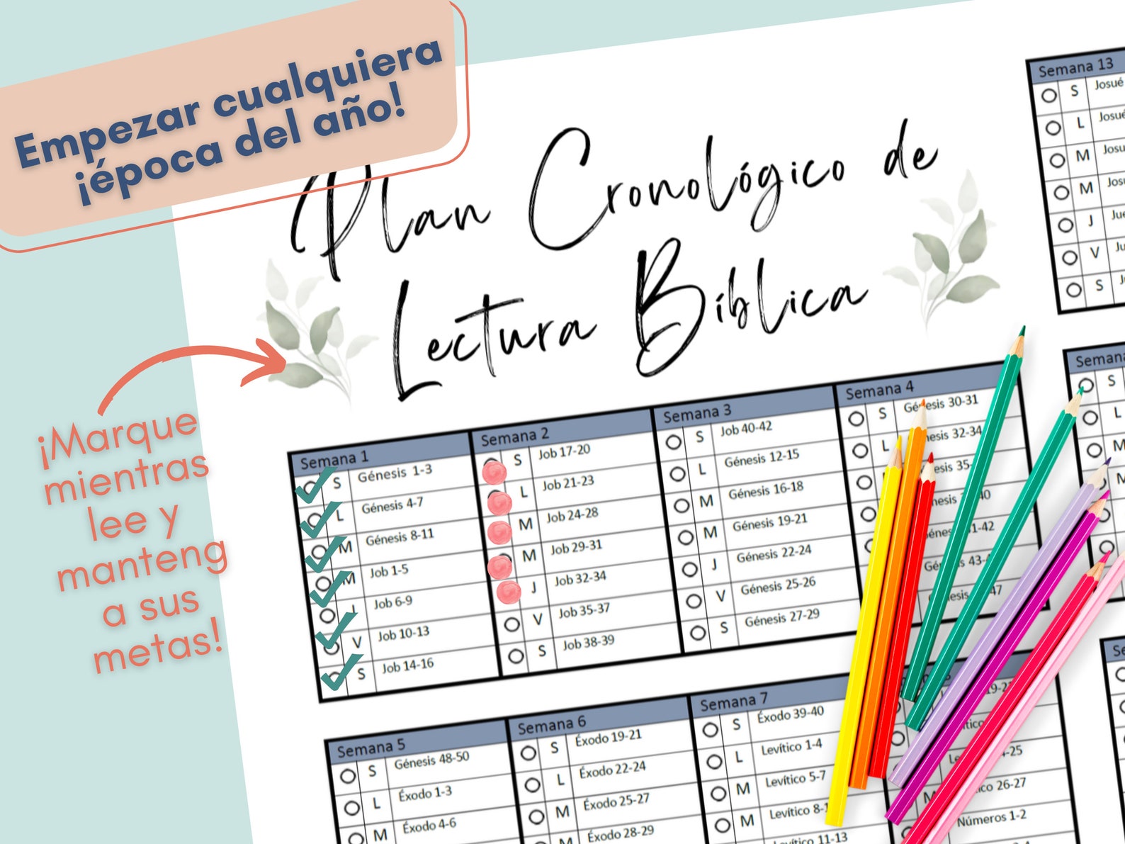 SPANISH Bible Reading Tracker, Chronological Bible Plan, Printable ...