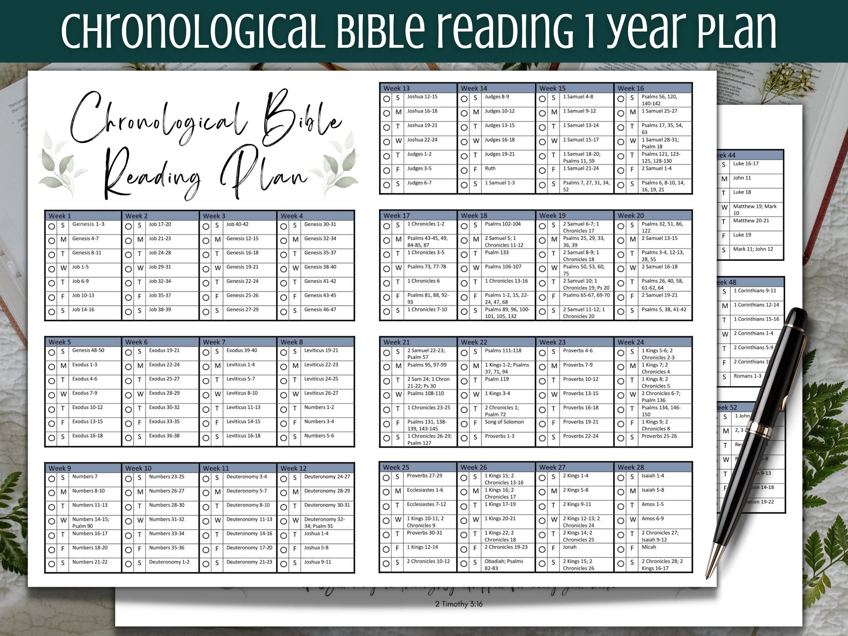 Bible study Mindful template Digital and printable bible study template