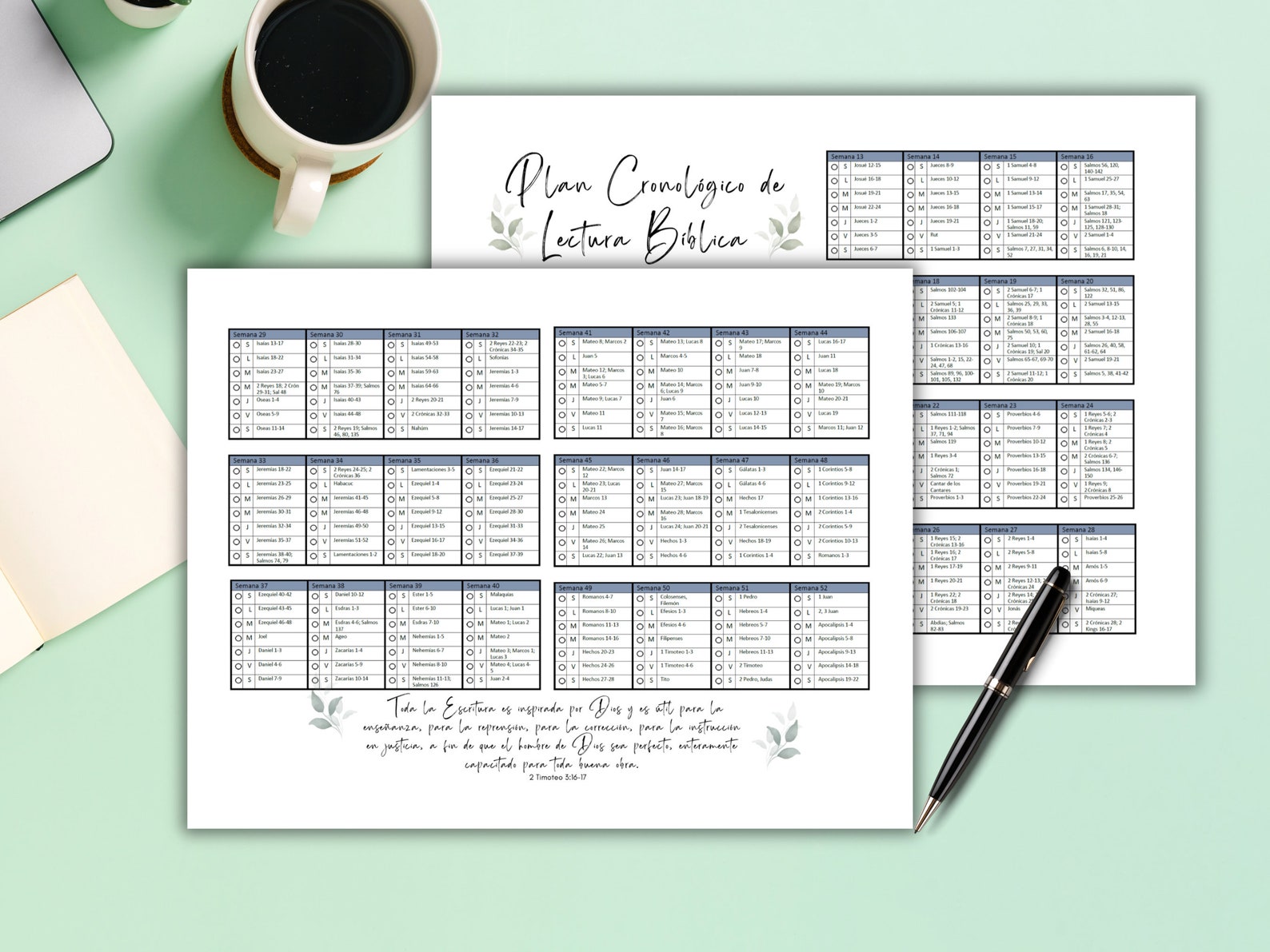 SPANISH Bible Reading Tracker, Chronological Bible Plan, Printable ...