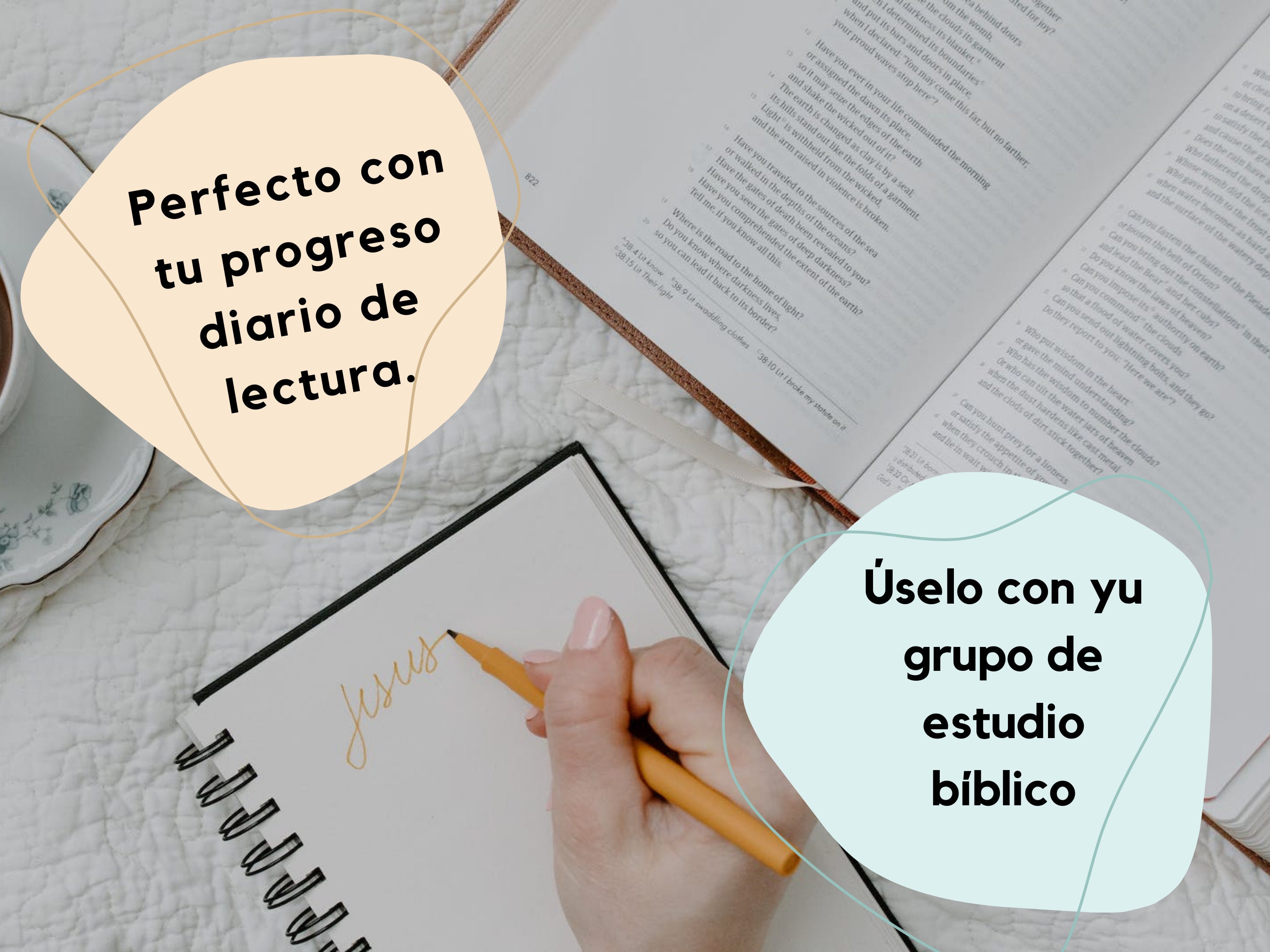 SPANISH Bible Reading Tracker Chronological Daily Study Plan Printable ...