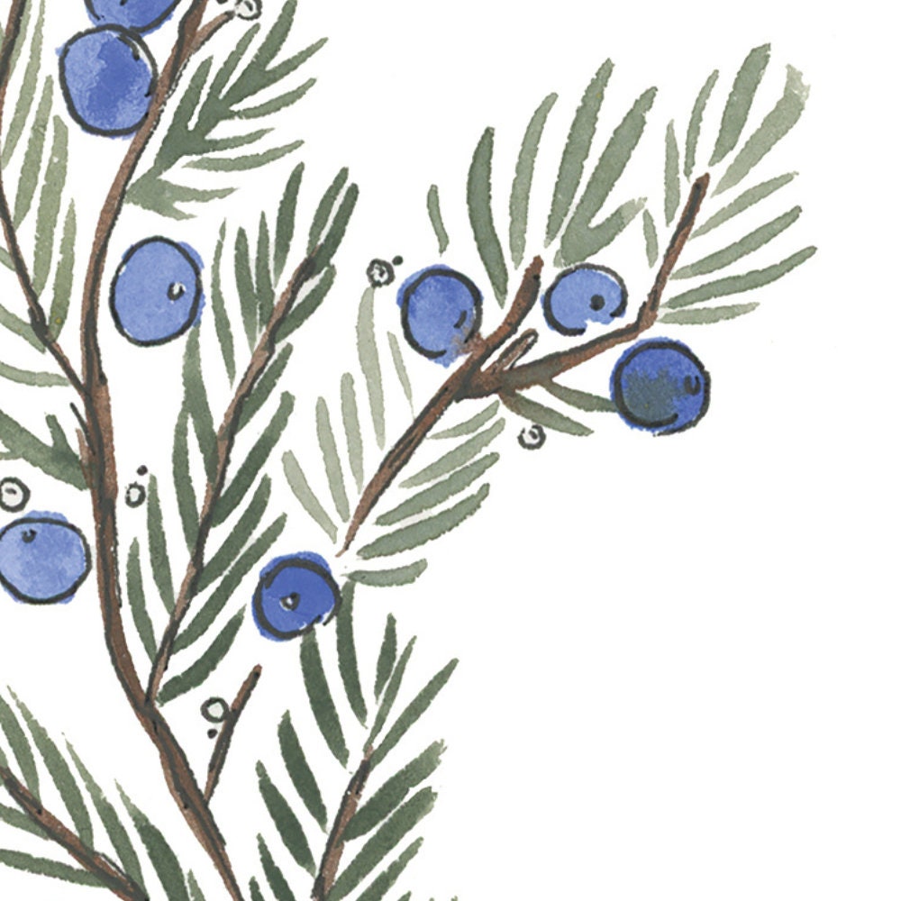 Juniper Branch Watercolor Art, Minimalist Branch Decor, Juniper Tree ...