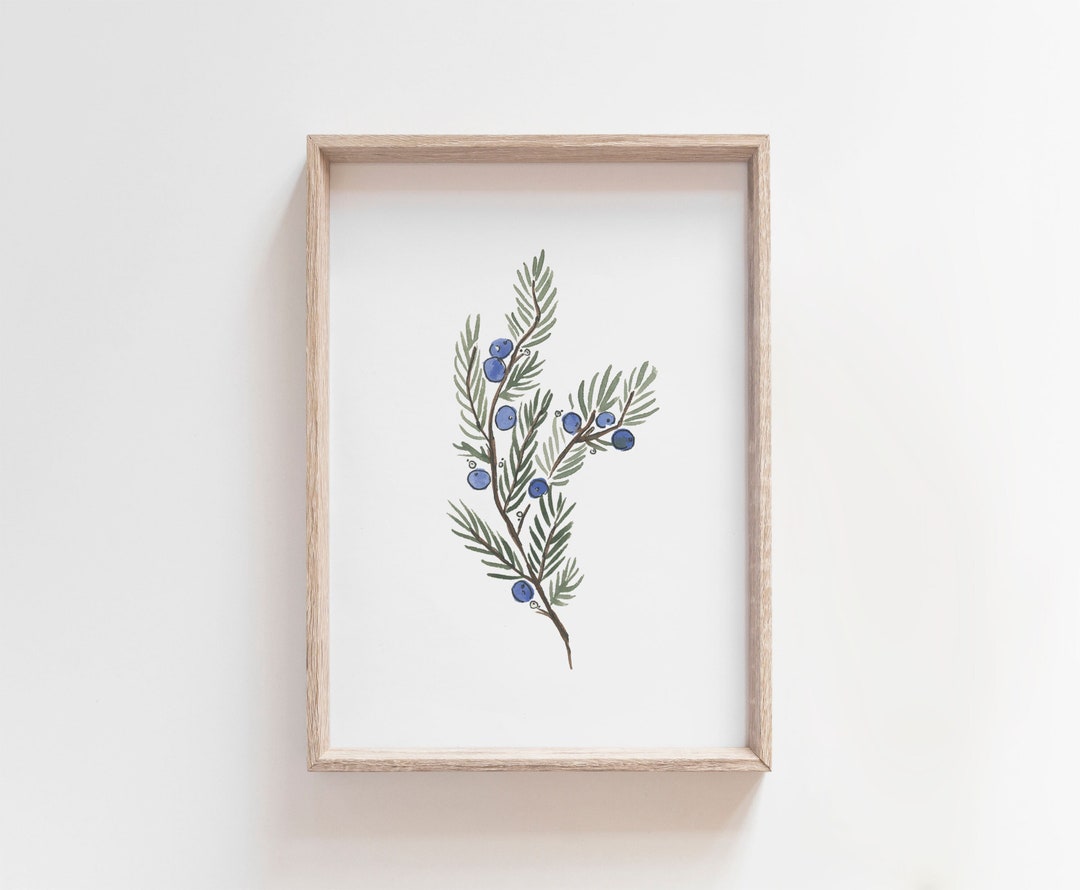 Juniper Branch Watercolor Art, Minimalist Branch Decor, Juniper Tree ...