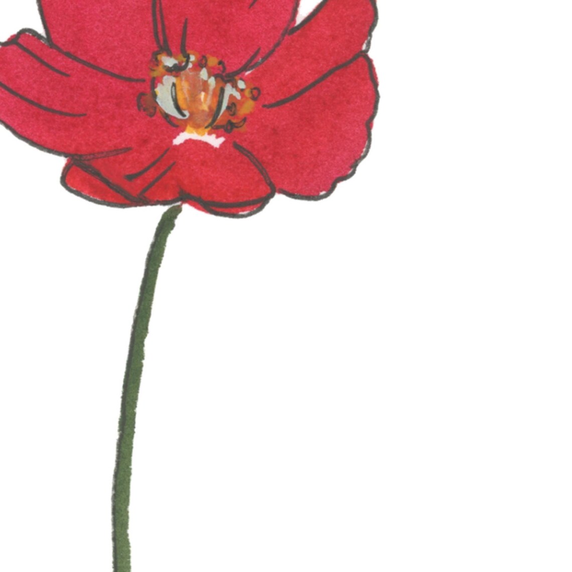 Cosmos Watercolor Art, October Birth Flower Print, Pink Cosmos Painting ...