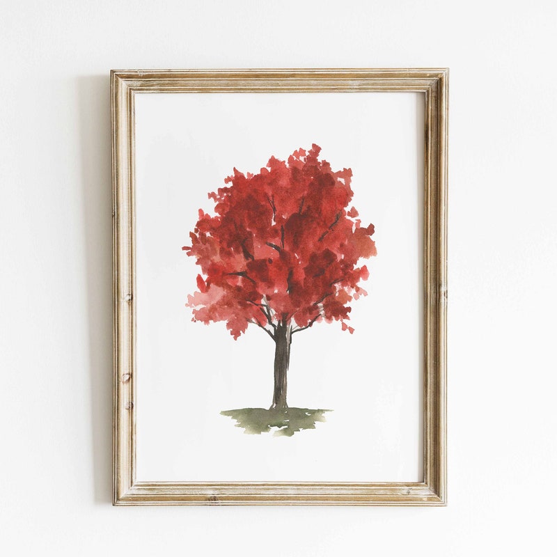 Red Maple - Etsy