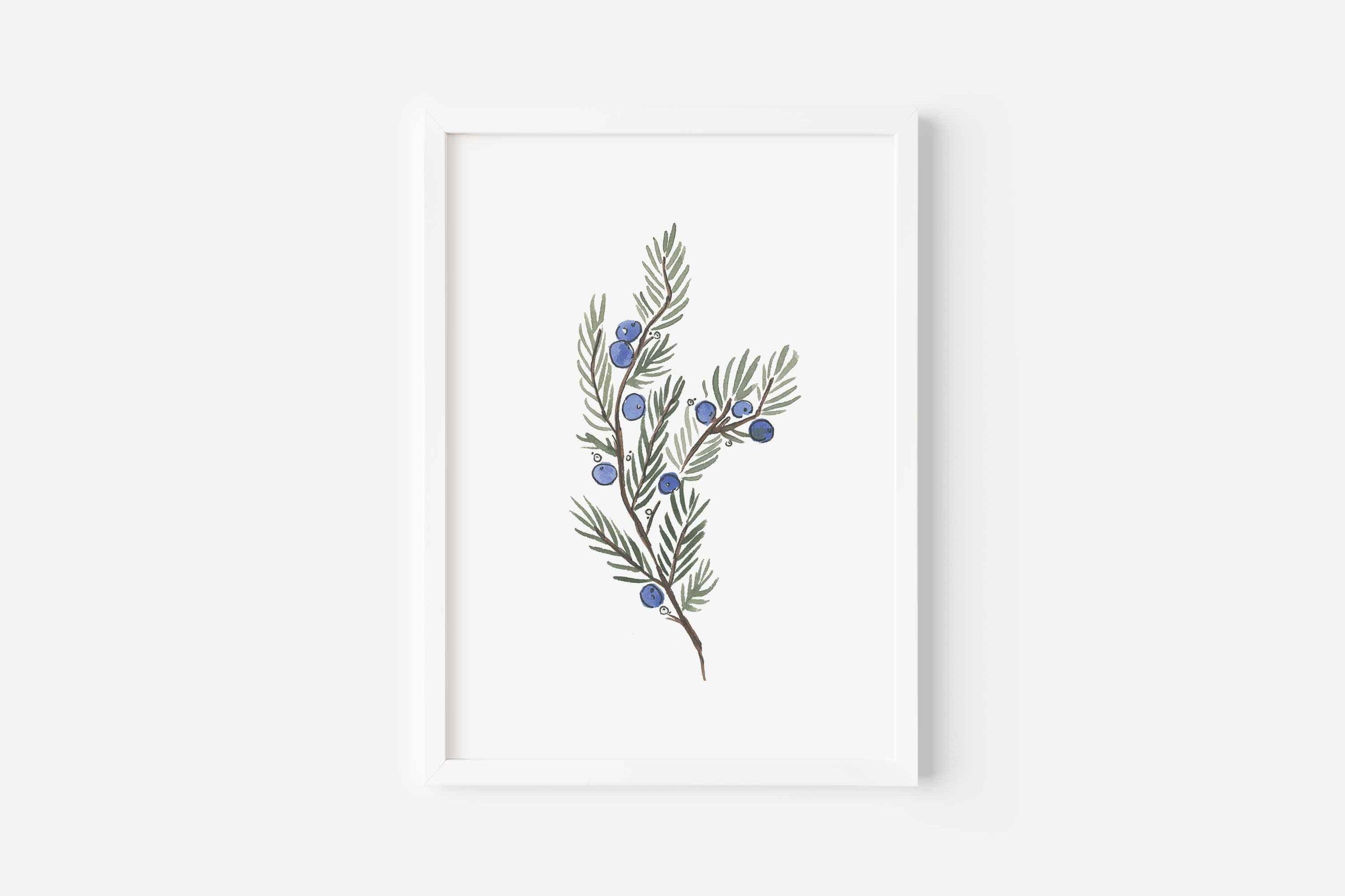 Juniper Branch Watercolor Art, Minimalist Branch Decor, Juniper Tree ...