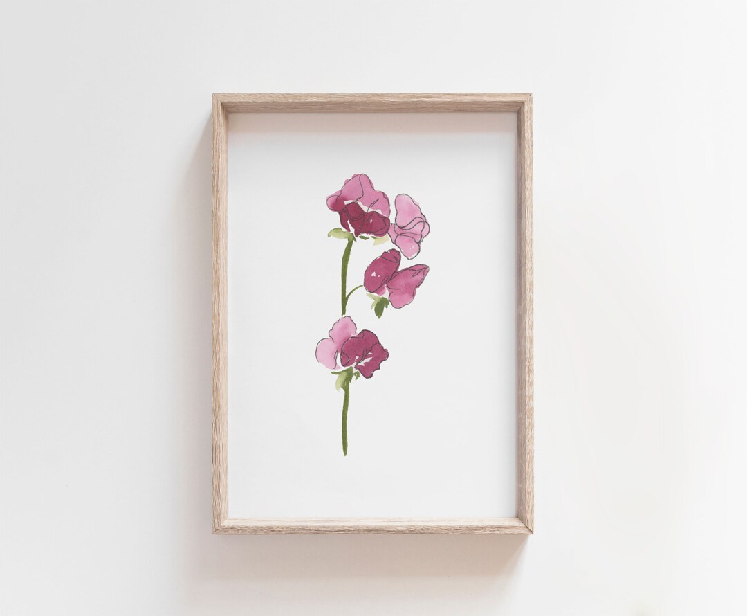 Sweet Pea Watercolor Art, April Birth Flower Print, Pink Sweet Pea ...