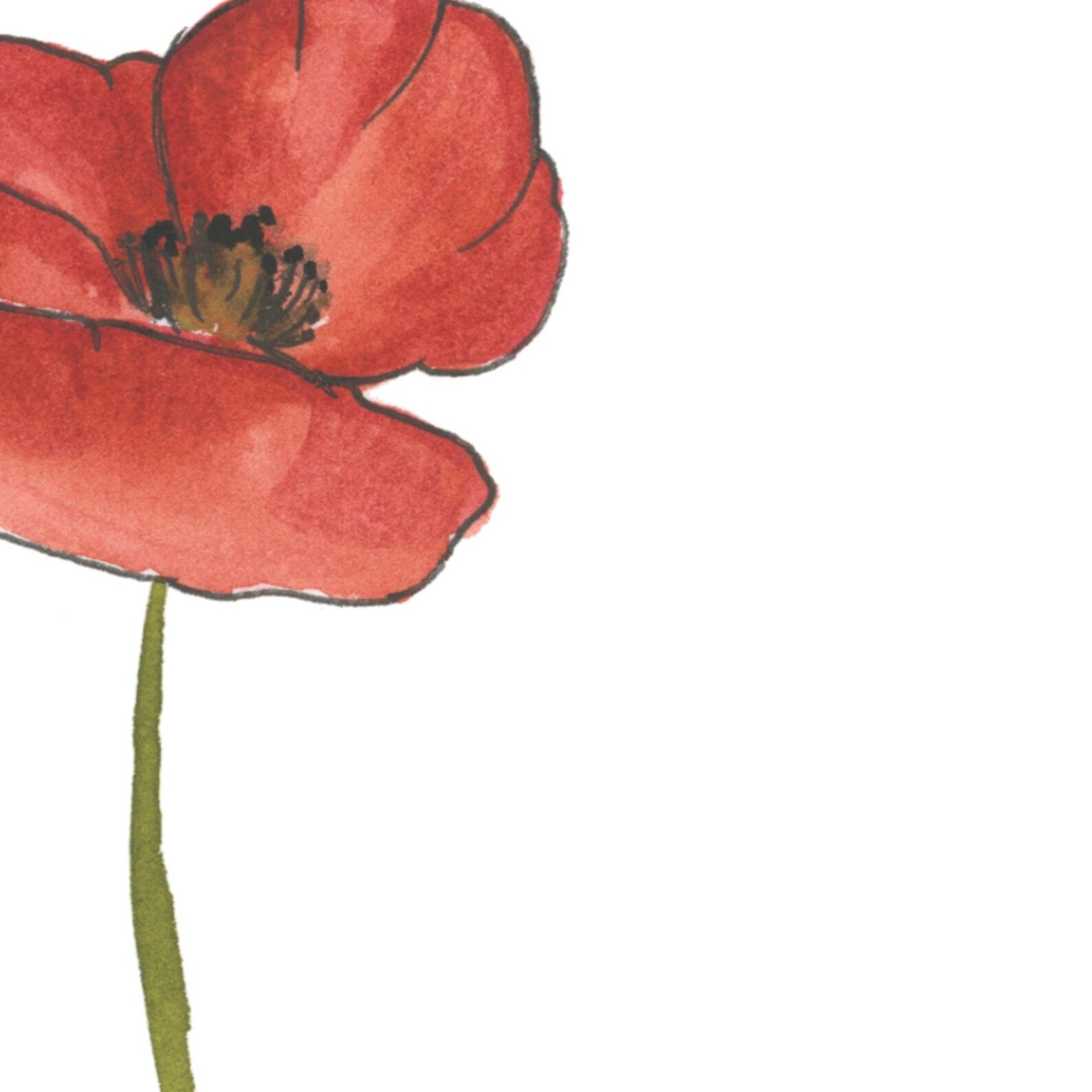 Poppy Watercolor Art, August Birth Flower Print, Red Poppy Painting ...