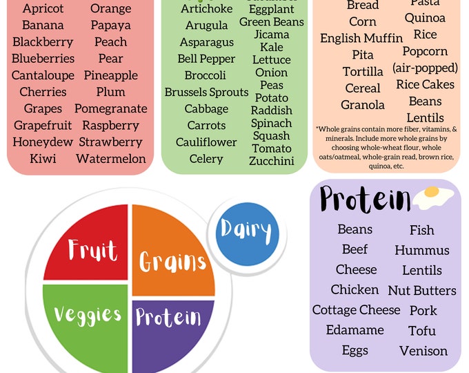 Building a Balanced Lunch Handout | Pediatric Nutrition Handout ...